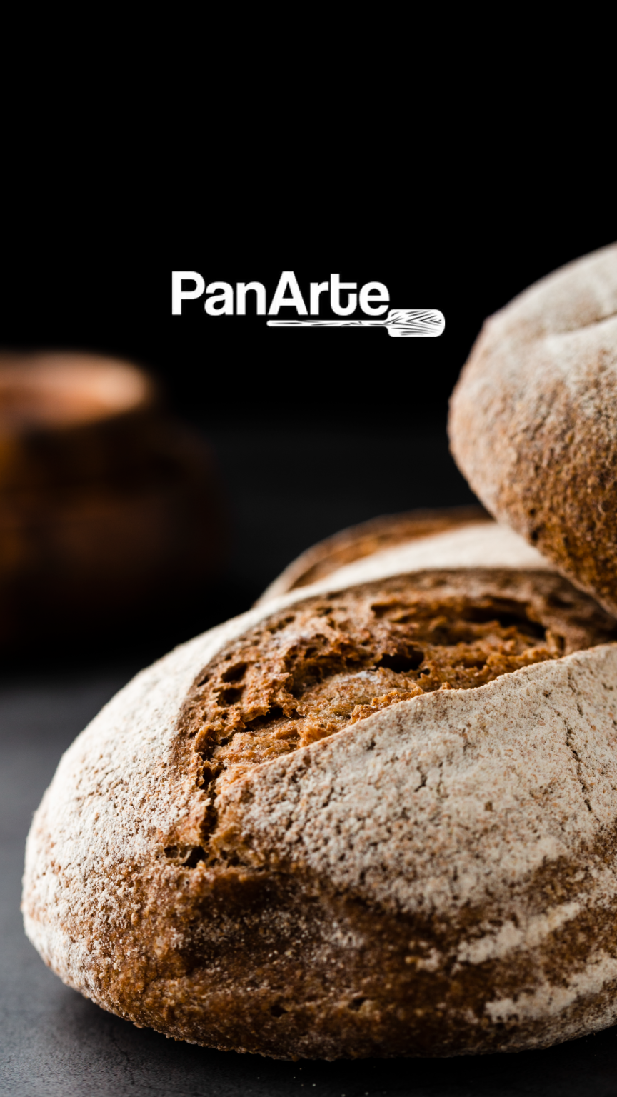 Revista PanArte - Revista PanArte
